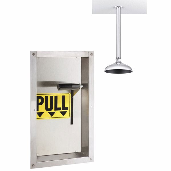 Speakman SE-238 Wall mounted deluge shower, showerhead ext ...