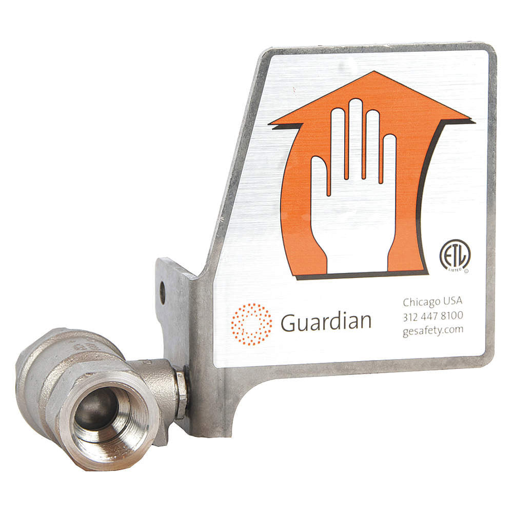 Guardian AP620-101H 1/2" IPS Stn Steel Ball Valve with Flag Handle ...