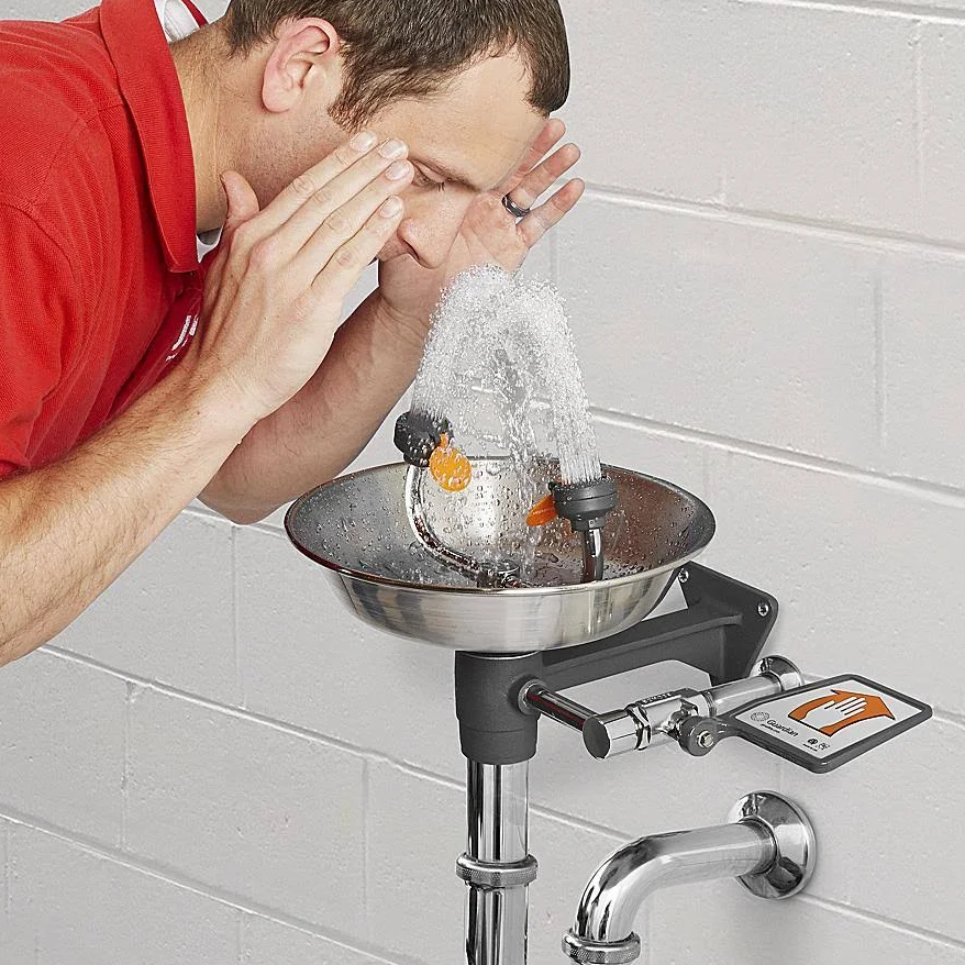 Guardian G1814 Wall Mount Emergency Eyewash Station, Stainless Steel ...