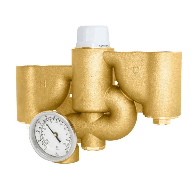 Speakman SE-350 Emergency Shower Thermostatic Mixing Valve ...